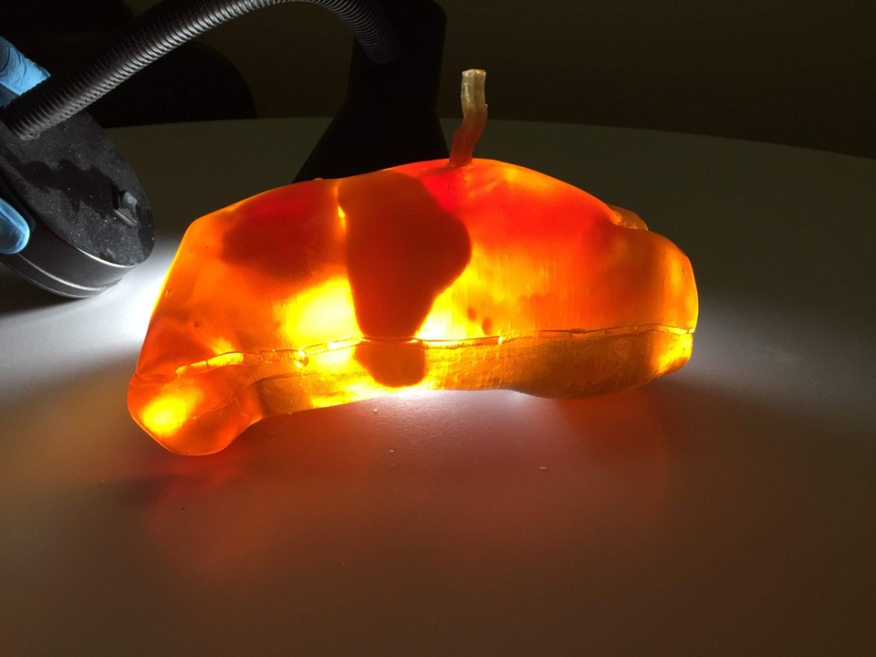 True Phantom Newborn Baby Torso Phantom Model | Anatomy Warehouse