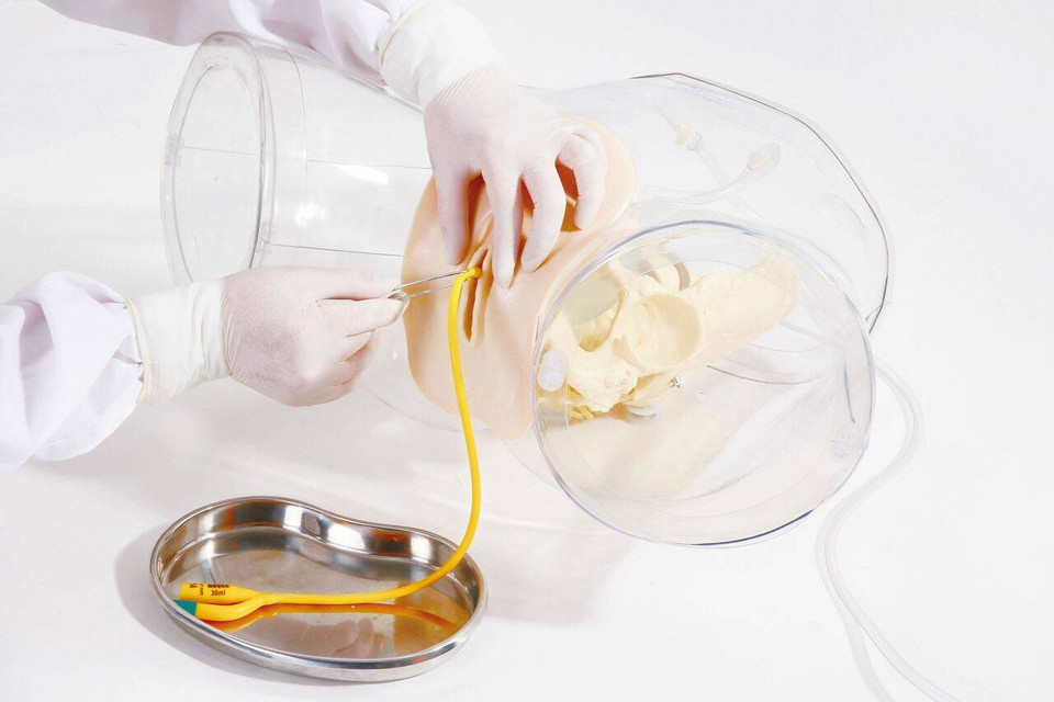 Anatomy Lab Female Catheterization Model | Anatomy Warehouse
