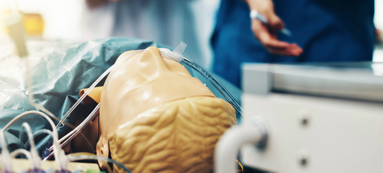 Medical Training Manikins: How to Use and Maintain One - Anatomy Warehouse