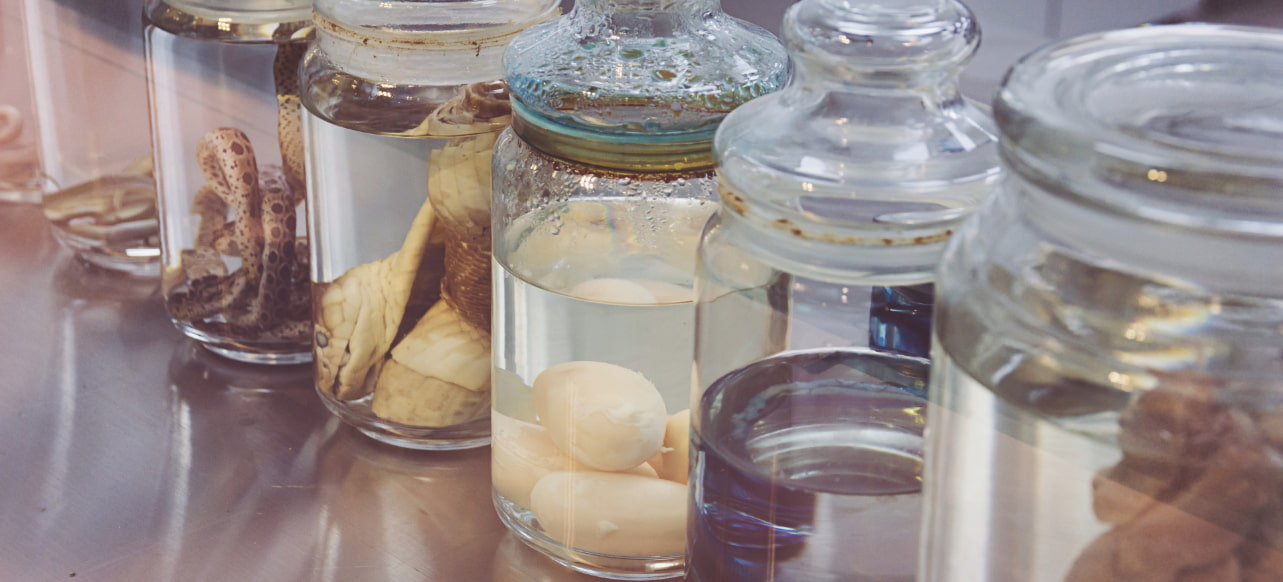 The Science Behind Specimen Fixatives & Preservation Fluids - Anatomy ...