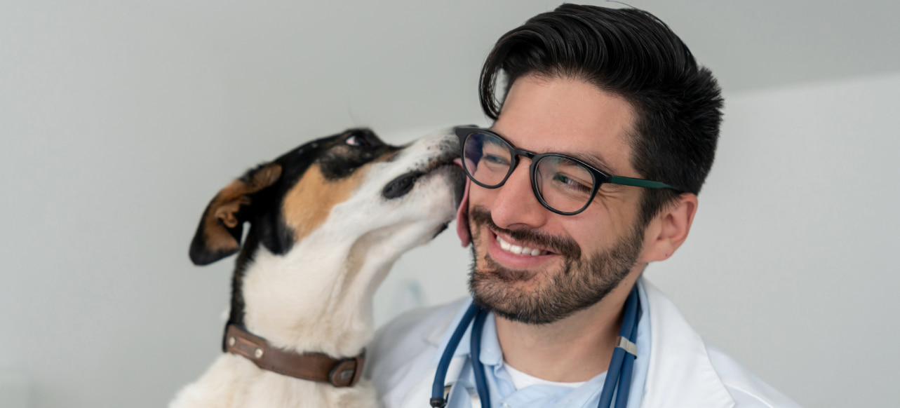 Why Use Models & Simulations in Veterinary Education? - Anatomy Warehouse