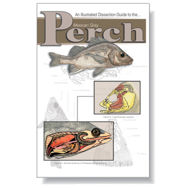 Anatomy Lab Perch Dissection Guide | Anatomy Warehouse