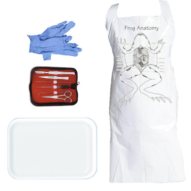 Anatomy Lab Dissection Kit with Small Tray | Anatomy Warehouse