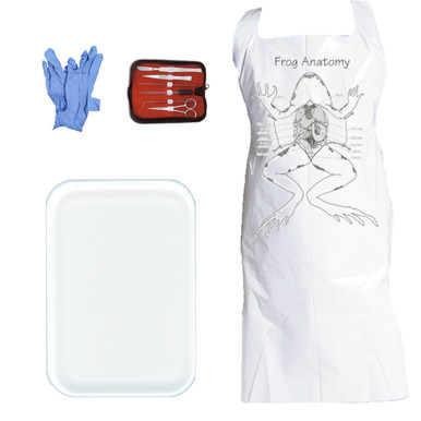 Anatomy Lab Dissection Kit with Medium Tray | Anatomy Warehouse