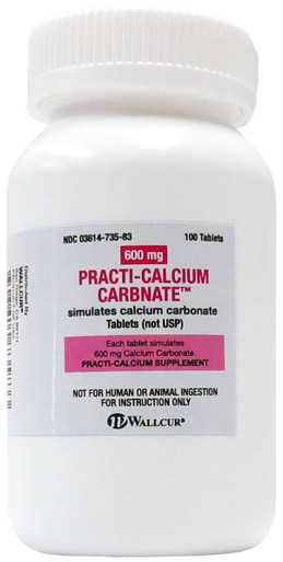 Anatomy Lab Practi-Calcium Carbonate Oral Meds 100 Tablets (600 mg ...