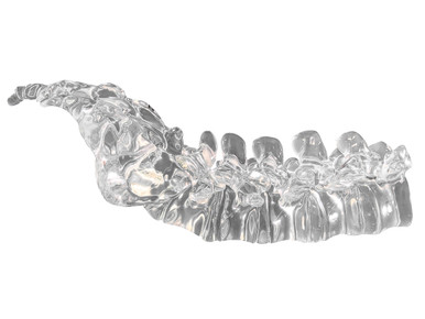 Encoris FlexBone Training Model - Lumbar Spine, L1 to Sacrum | Anatomy ...