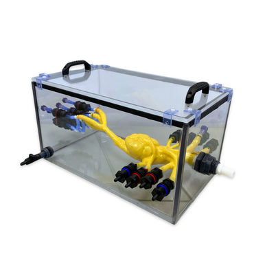 True Phantom Adult Heart Phantom Model | Anatomy Warehouse