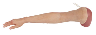 Erler-Zimmer Puncture Pete Hyper Realistic I.V. Training Arm | Anatomy ...