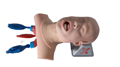 Medical-X Advanced Airway Skills Task Trainer | Anatomy Warehouse