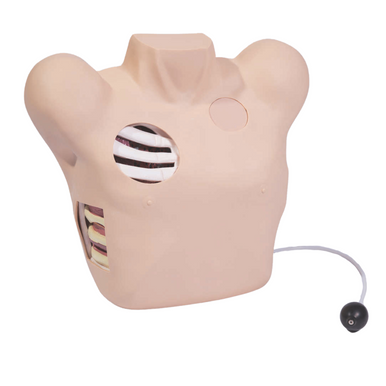 Anatomy Lab Thoracentesis & Thoracic Drainage Training Simulator ...