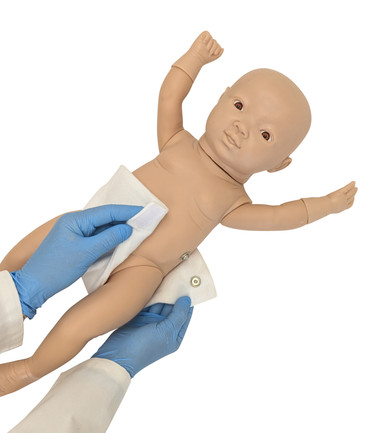 Anatomy Lab Intelligent Baby (Boy) | Anatomy Warehouse