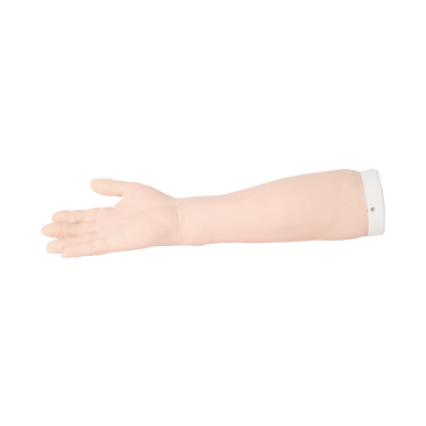 Anatomy Lab Wrist Joint Injection Model | Anatomy Warehouse