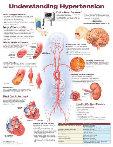 Anatomical Chart Company Understanding Hypertension Laminated ...