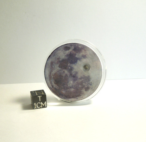 MOON ROCK Disc Display, Piece of the Moon in the Palm of your Hand ...