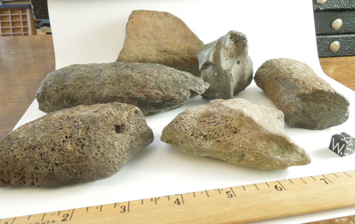 Fossil Bone Lot, Chunkasaurus Megafauna, Pleistocene, 1kg - Galactic ...