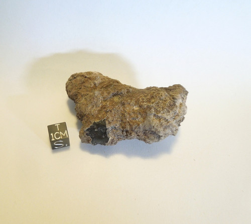 Flint Nodule in Limestone Matrix, Bone Valley Florida, 71g - Galactic ...