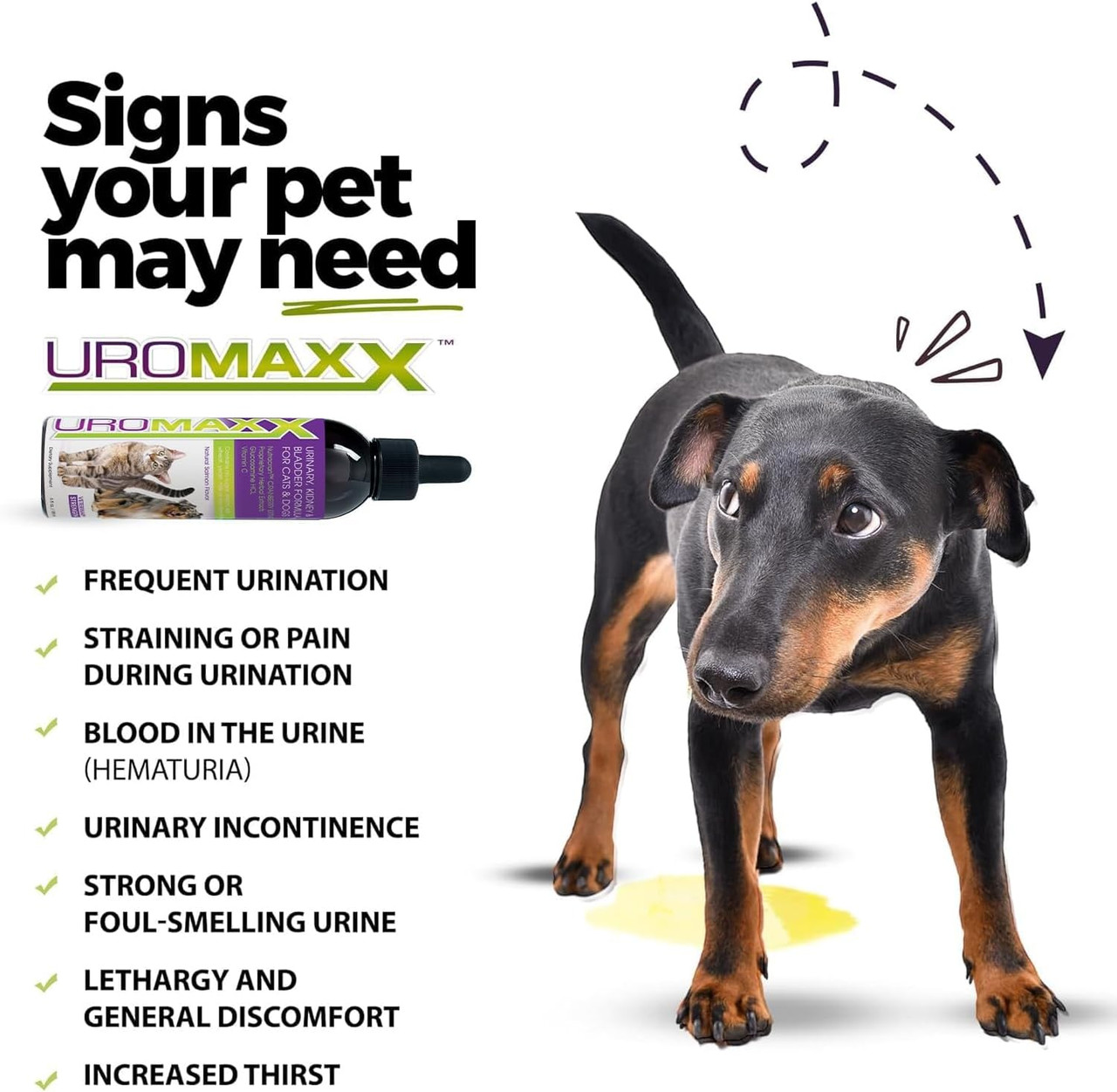 UroMaxx - A Better Way Pet Care