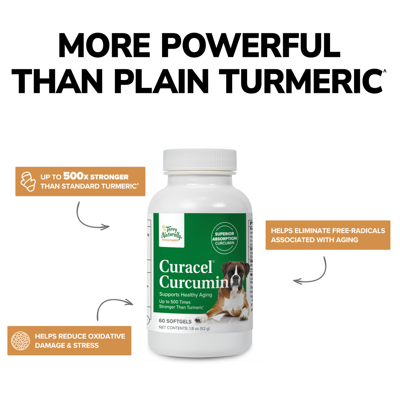 Curacel® Curcumin by Terry Naturally - A Better Way Pet Care