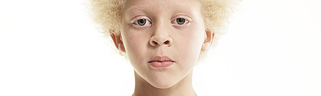 Seven Questions for Stewart Cohen - broncolor US