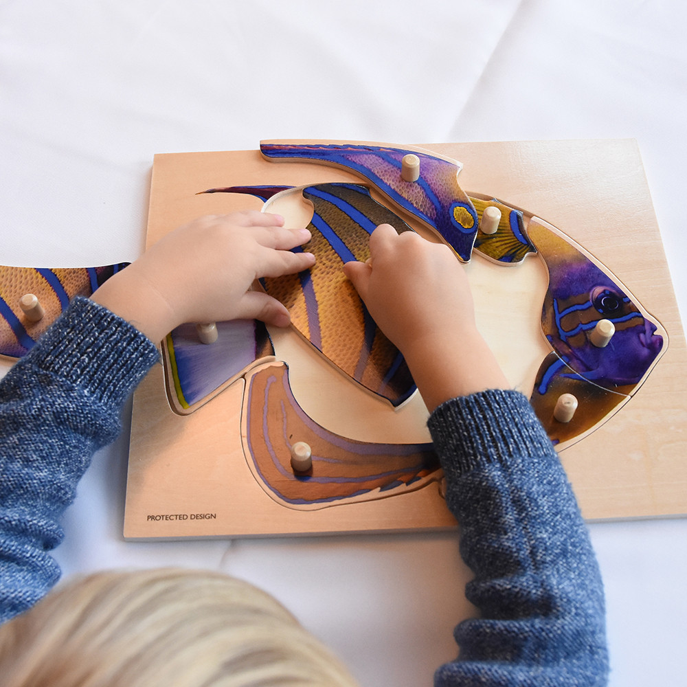 Tropical Fish Large Knobbed Puzzle - Cre8tive Minds