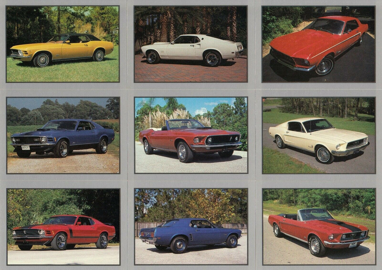 Mustang Collectible Cards - StangStuff