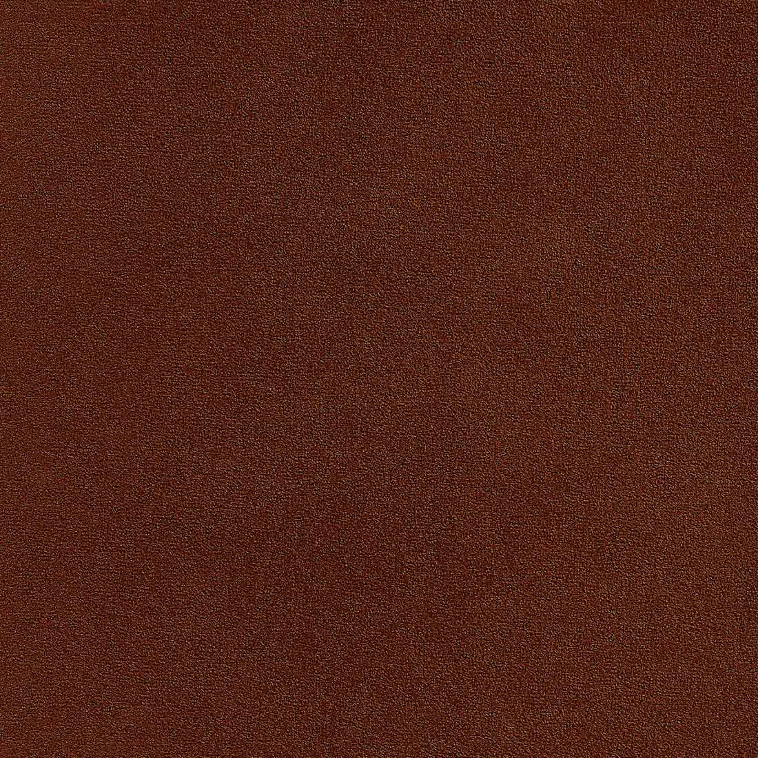 C STAG Red Miso - P/Kaufmann Home - Store 2