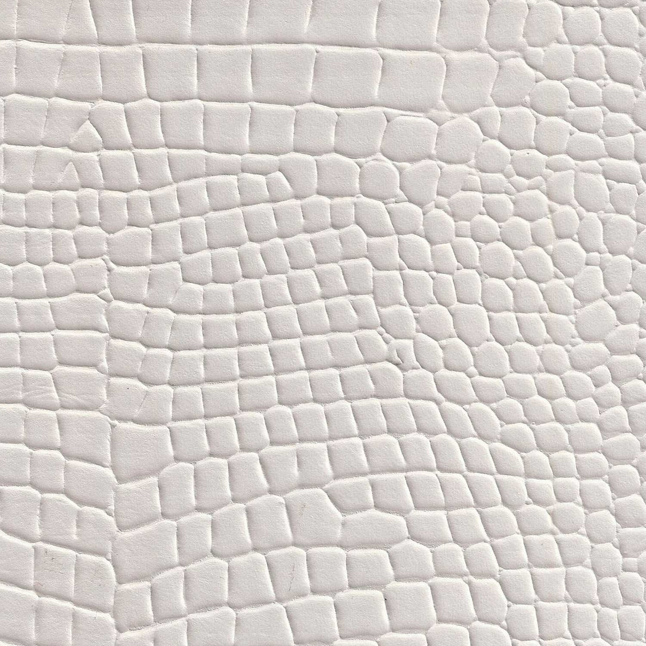 C CROC White - P/Kaufmann Home - Store 2