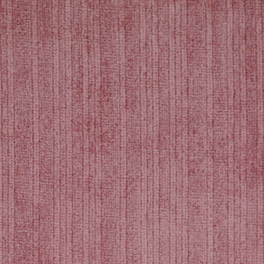 C KISMET Tea Rose - P/Kaufmann Contract