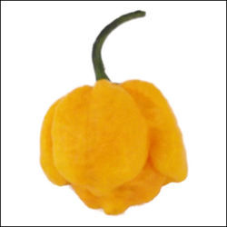 Trinidad Moruga Scorpion Yellow peperzaden