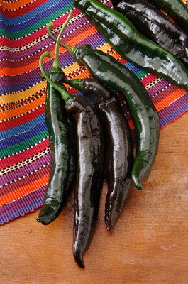 Holy Mole - Tomatenzaden