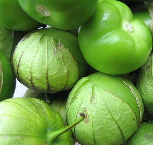 Tomatillo Verde zaden
