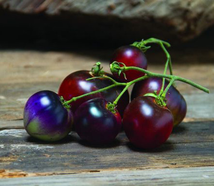 Indigo Blue Berries tomato seeds