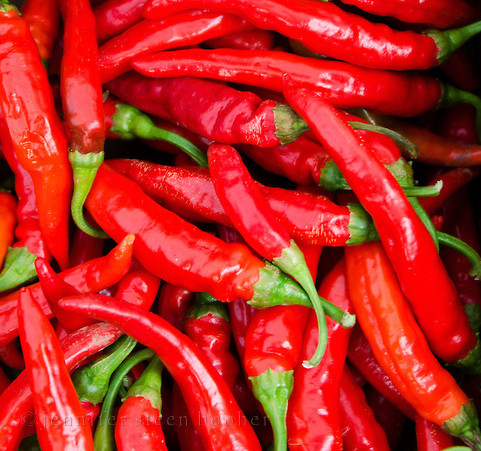 Red Rocket chili seeds