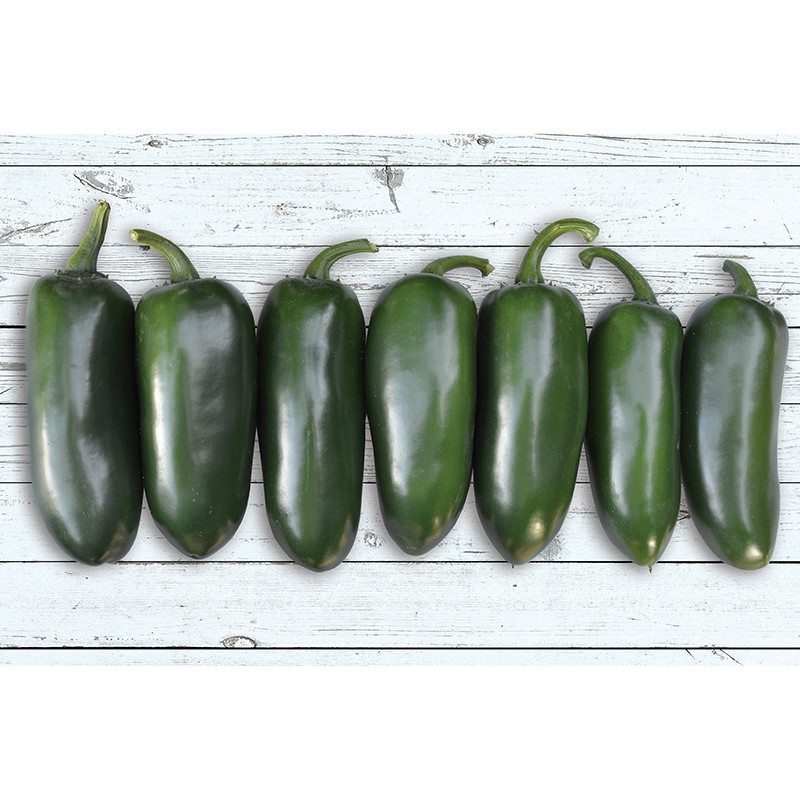 Jalapeno Emerald Fire peperzaden