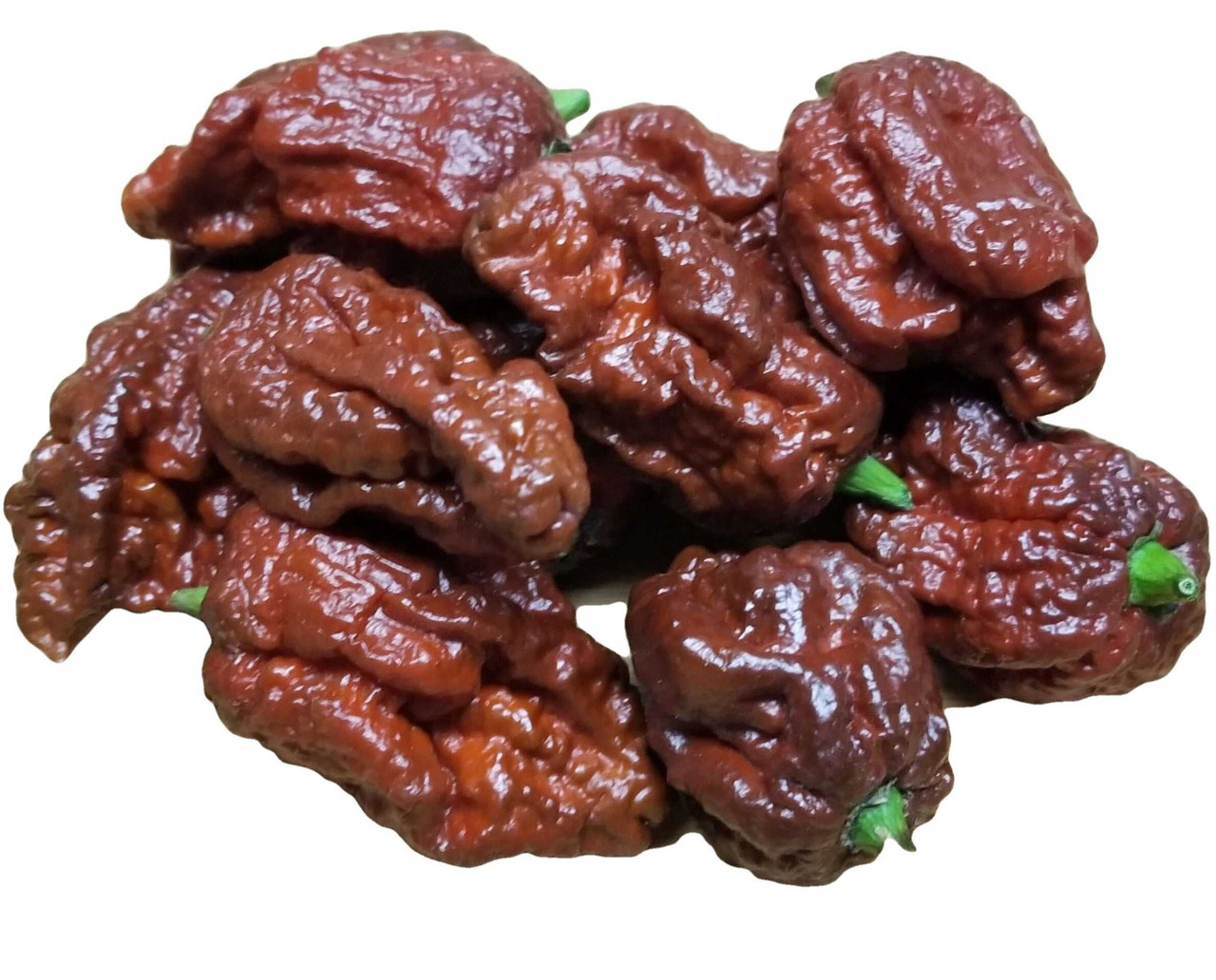 CP115 chili seeds