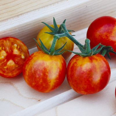 Isis Candy Cherry tomato seeds
