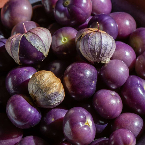 Tomatillo Seeds - Tomatoseeds