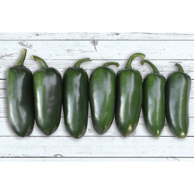 Jalapeno Emerald Fire chili seeds