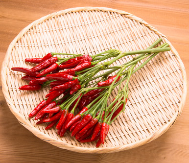 Takanotsume chili seeds