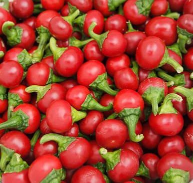 Szentesi Cherry chili seeds