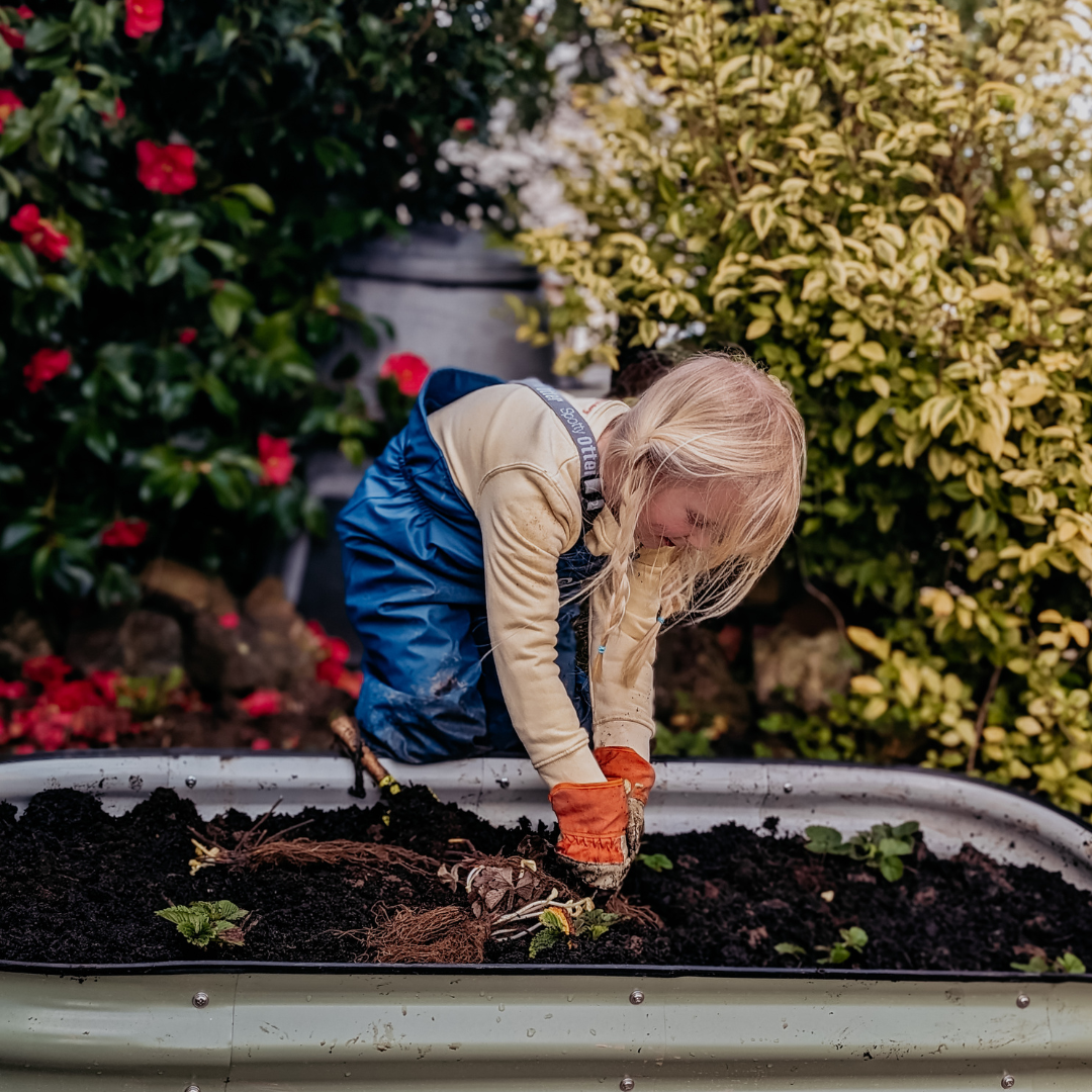 Join the Adventure: 5 Ways to Celebrate Great Big Green Week with ...