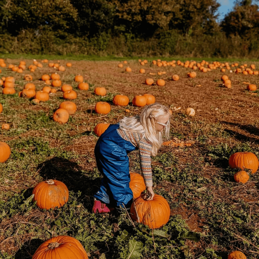 Spotty Otter's Guide to Pumpkin Picking: Don’t Forget Your Wellies and ...