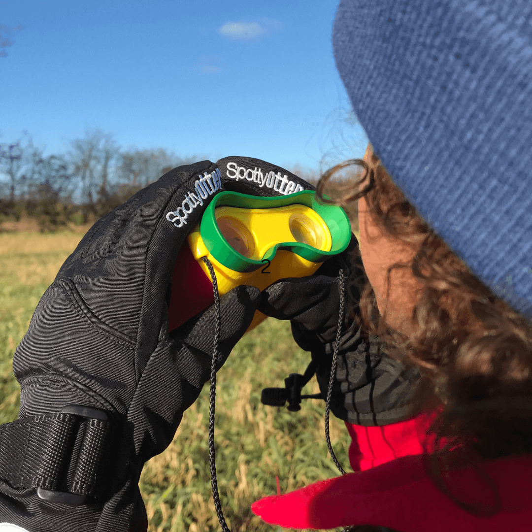 Big Garden Bird Watch: Spotting Nature's Feathery Friends with Spotty ...