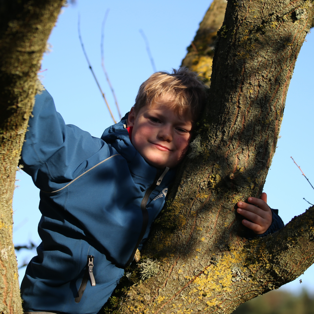 What is National Tree Week ? - Spotty Otter