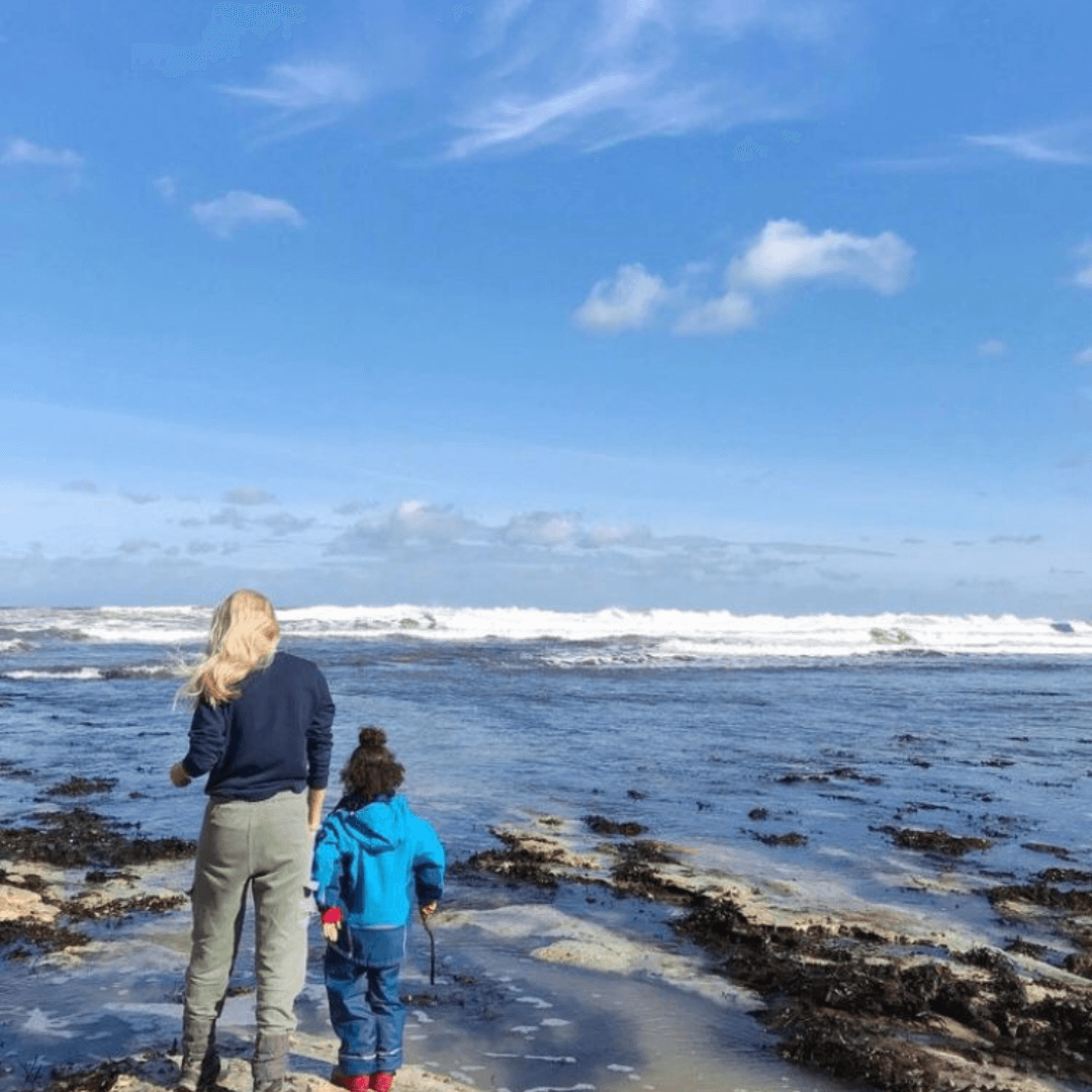 Learn more about Limpets - Spotty Otter