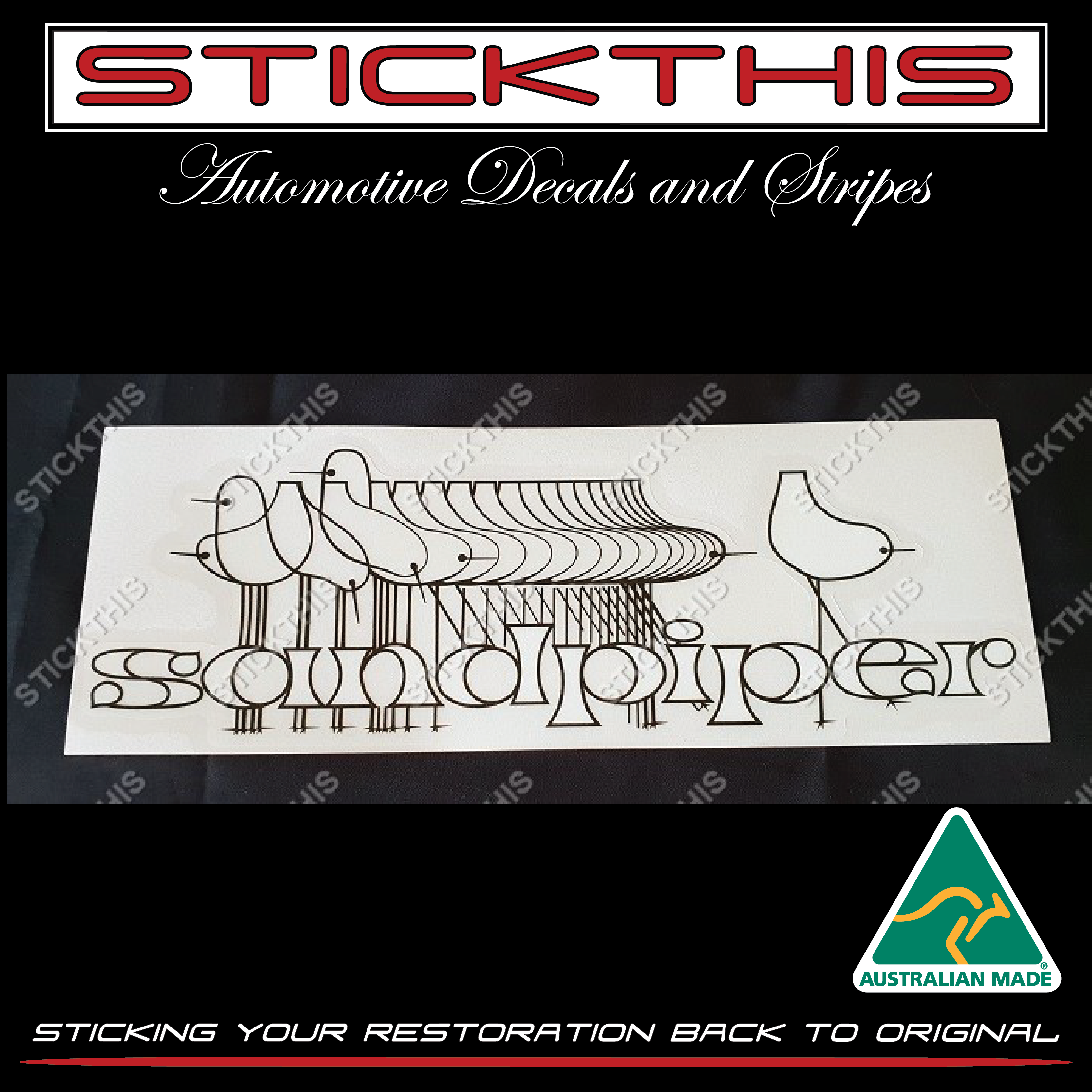 TC Gemini Sandpiper Stripe and Decal Kit - STICKTHIS Automotive Decals ...