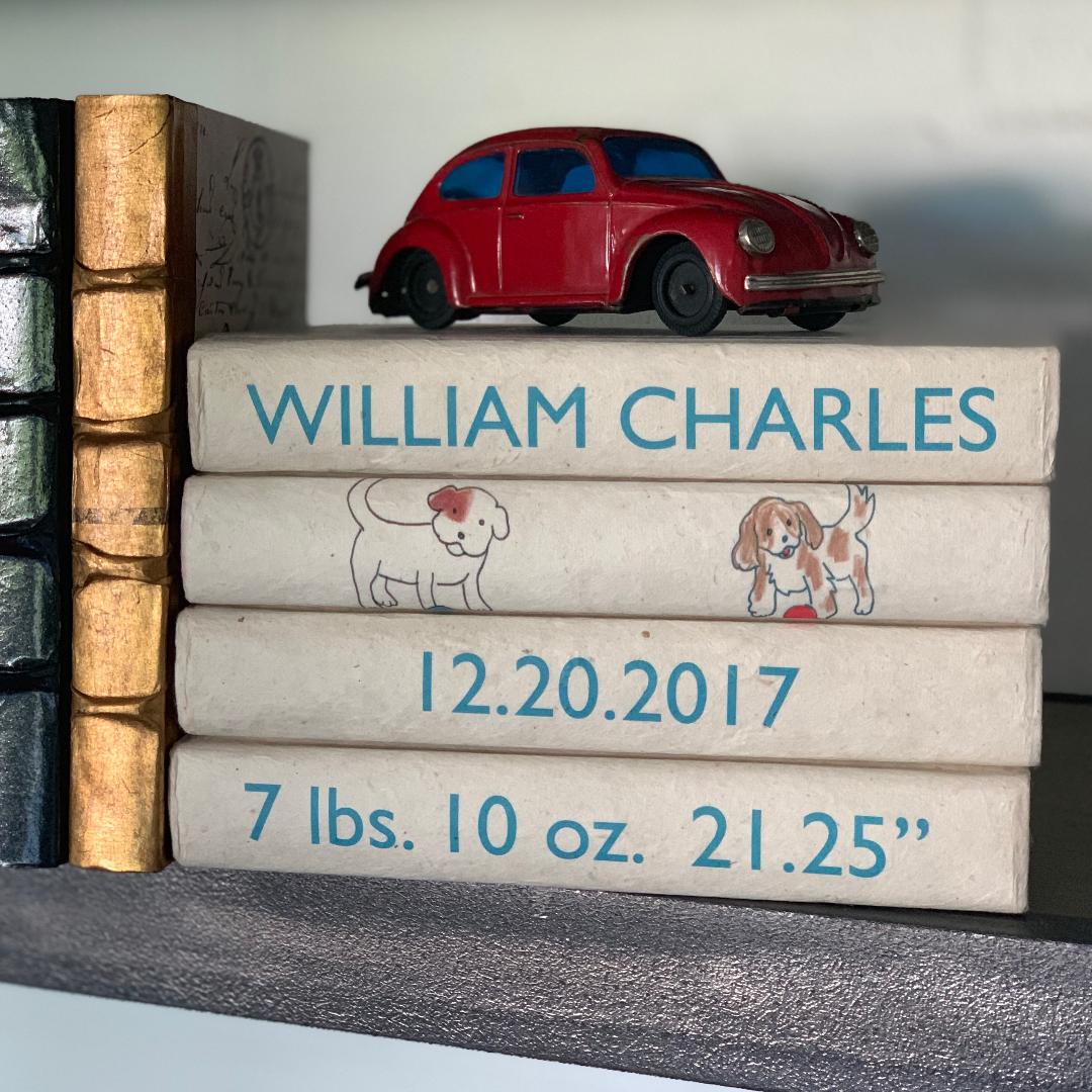 4 Vol. custom baby boy date and specs decorative book stack