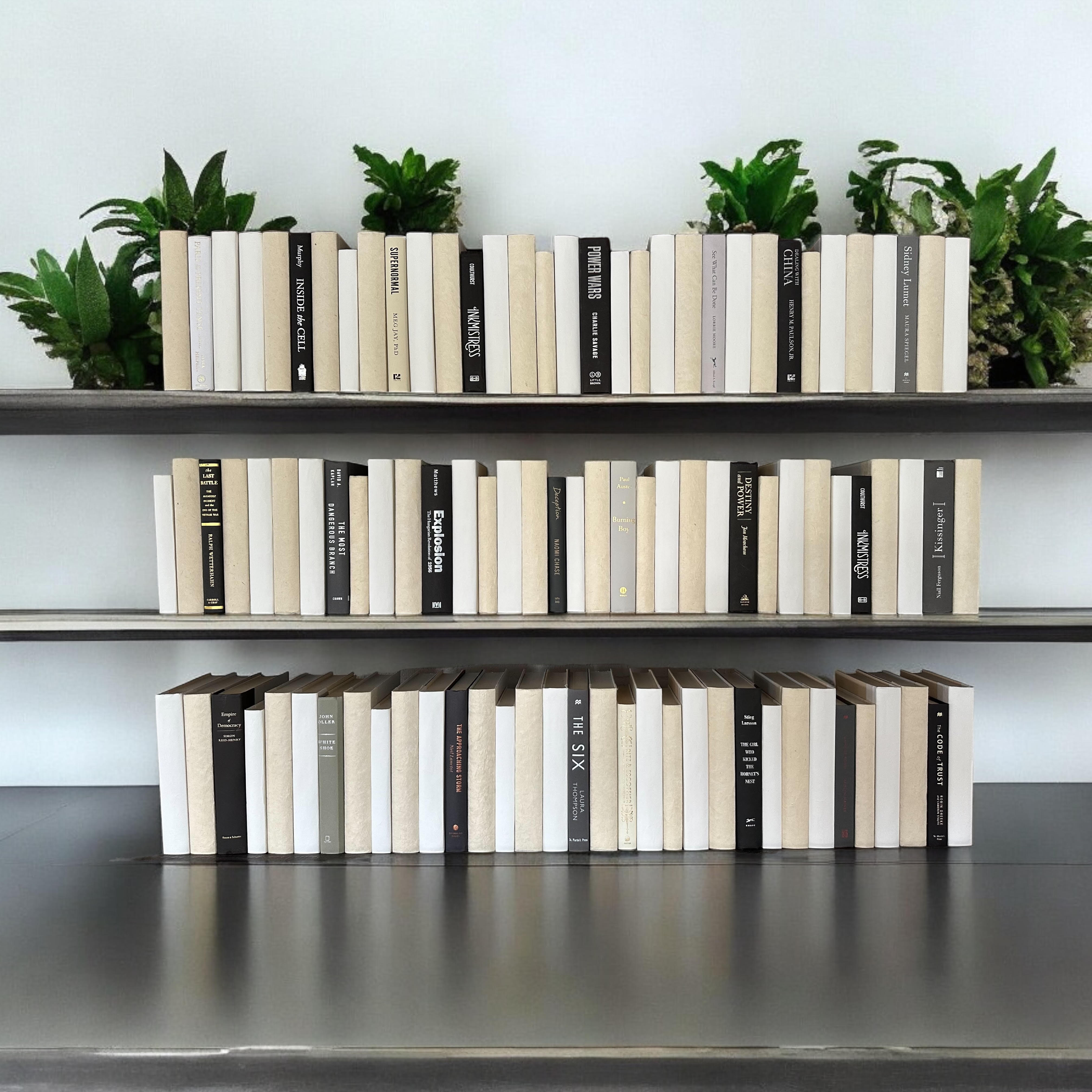 Stager Package-Neutral/ Full set of 100 Books/ Bound Spines Only ...
