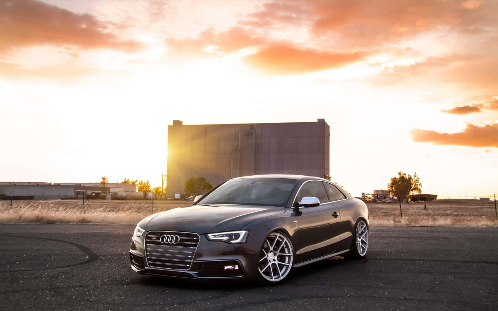 Audi Fans… The Momentum Keeps Building. Here’s What We’ve Been Up To ...