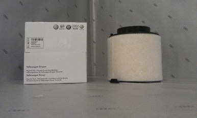 Air Filter 8K0133843D - Audi Parts Direct